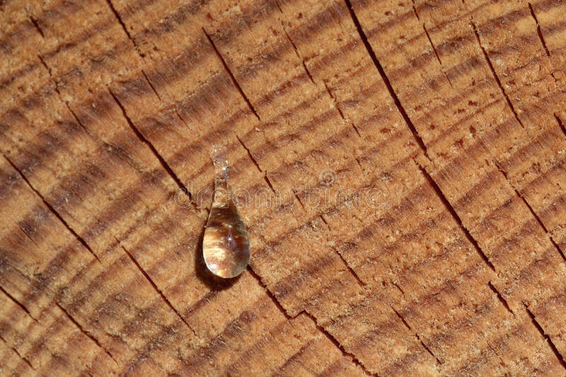 Douglas - Tuingigant.com